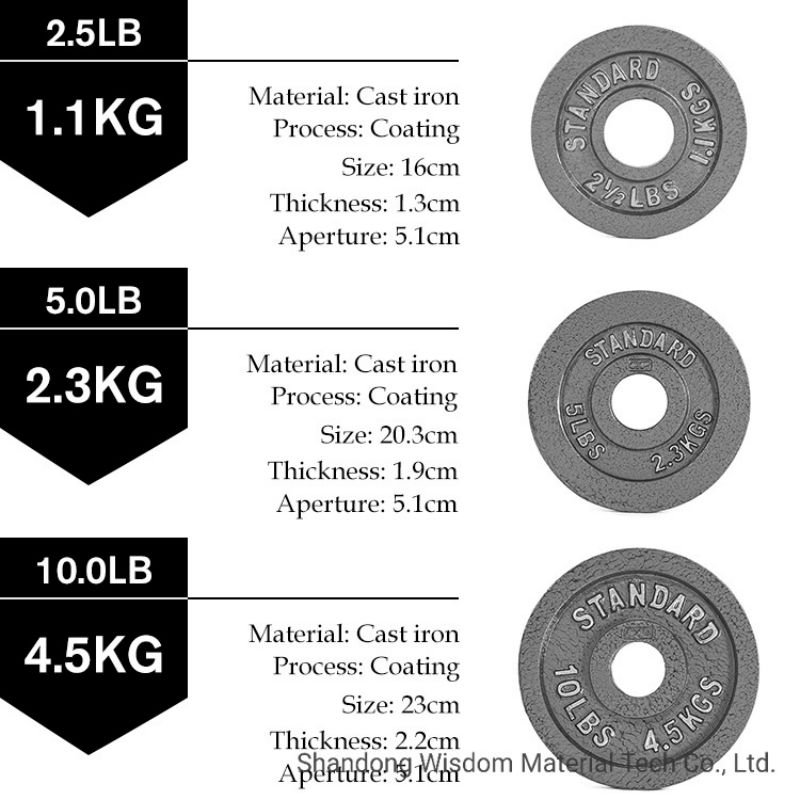 Bumper Cast Iron Lifting Gym Equipment Weights Plate Iron Standard ...