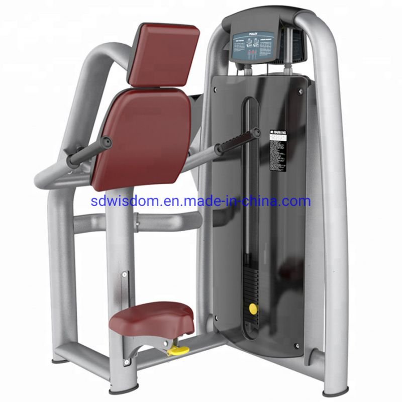 Pin Loaded Gym Commercial Fitness Equipment Strength Machine Triceps ...