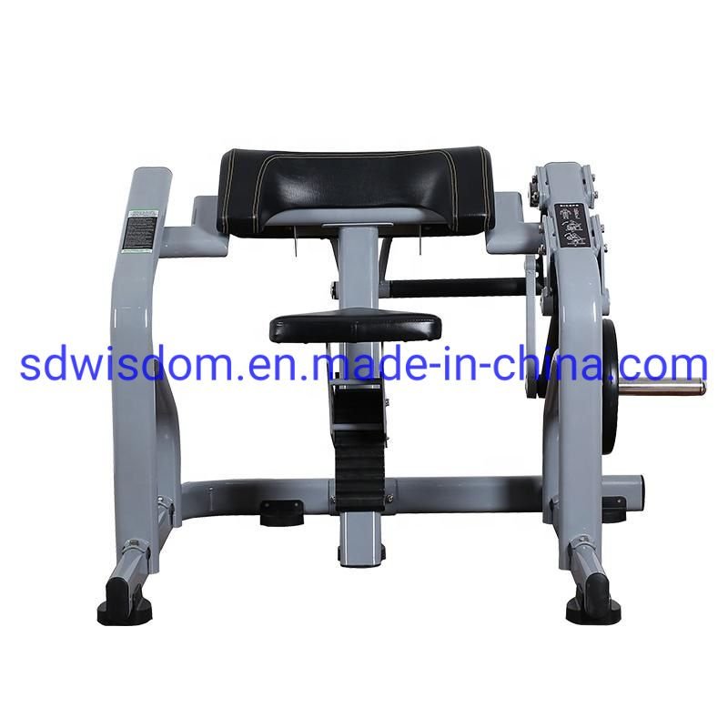 Plate Loaded Home Commercial Gym Equipment Hammer Strength Biceps ...