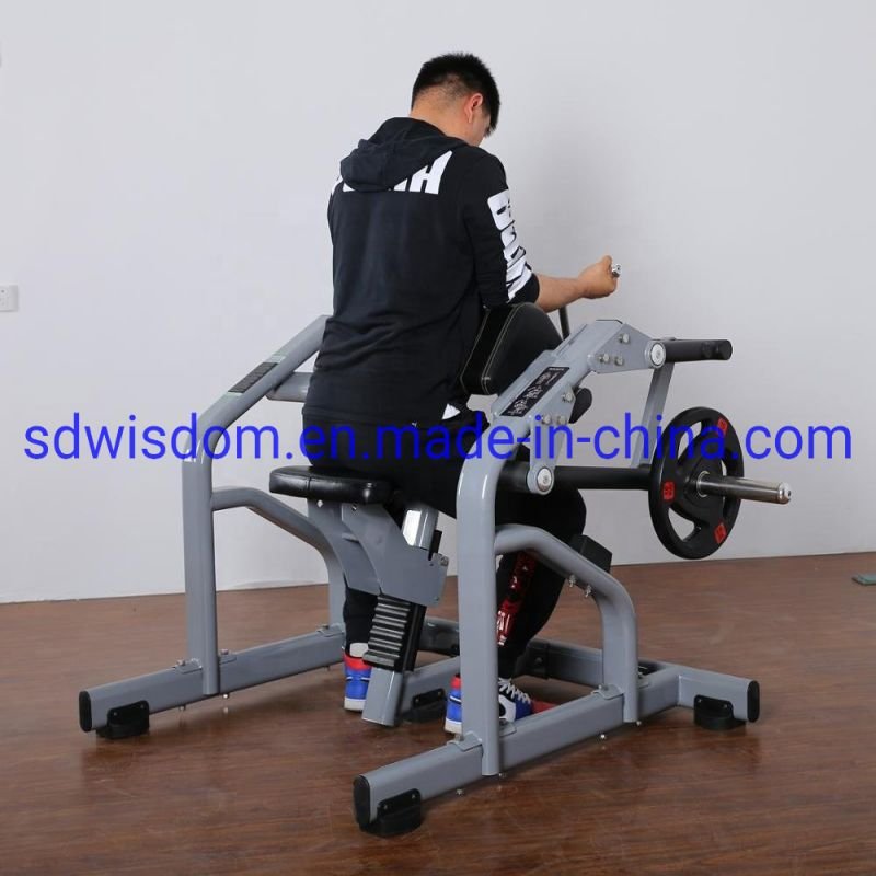 Plate Loaded Home Commercial Gym Equipment Hammer Strength Biceps ...