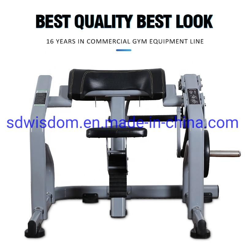 Plate Loaded Home Commercial Gym Equipment Hammer Strength Biceps ...