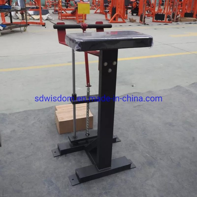 Commercial Fitness Equipment Gym Machine Forearm Muscle Strength ...