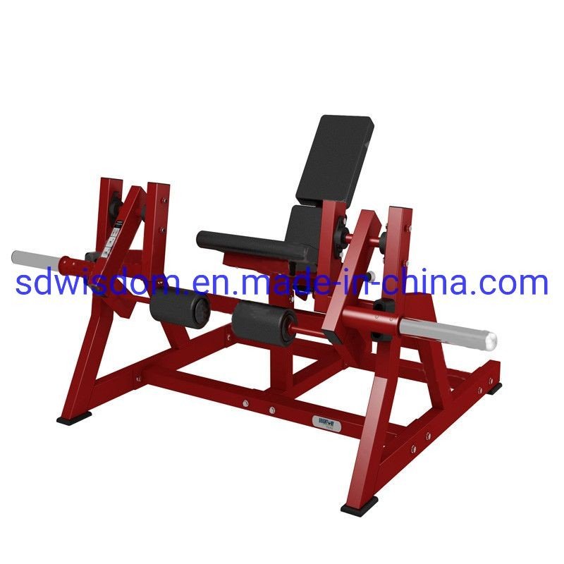 ISO-Lateral Leg Extension