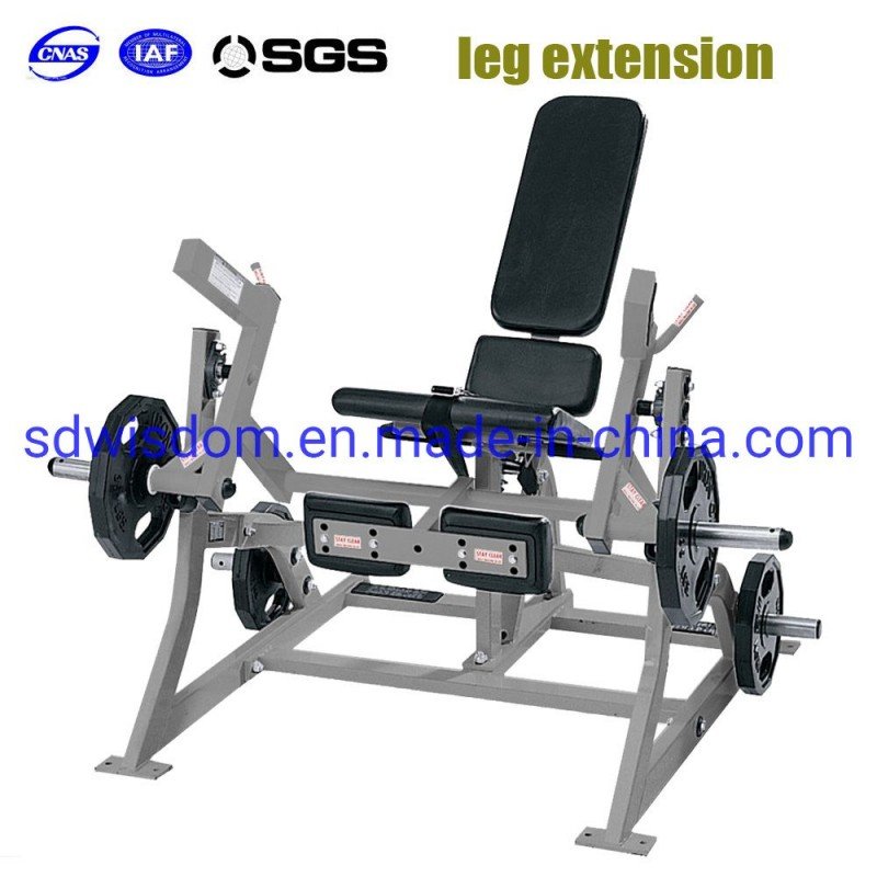 ISO-Lateral Leg Extension